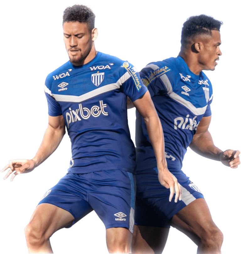Avaí F.C.